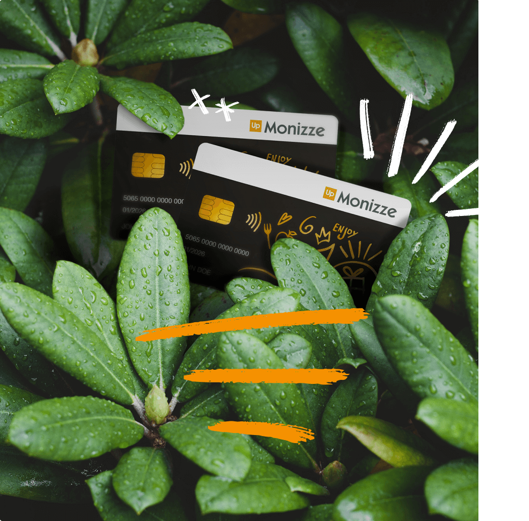 What can you buy in Belgium with the electronic eco vouchers?